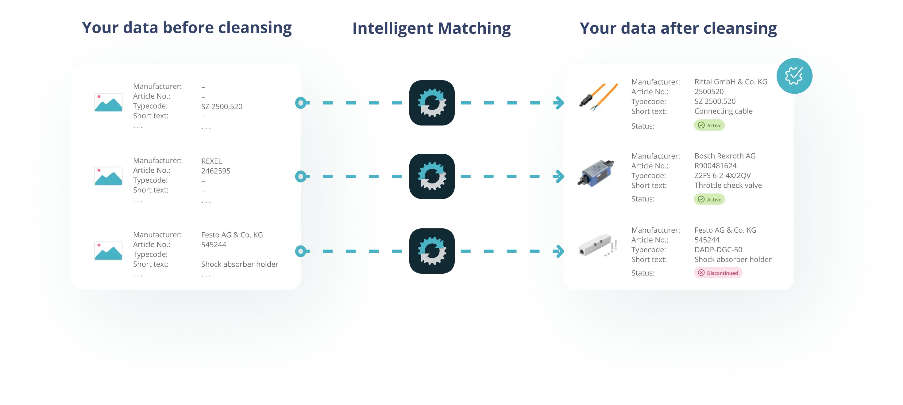 Master Data Cleansing | SPARETECH